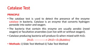 Basic microbiology laboratory tests.pptx