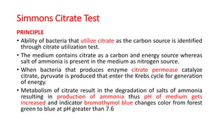 Basic microbiology laboratory tests.pptx