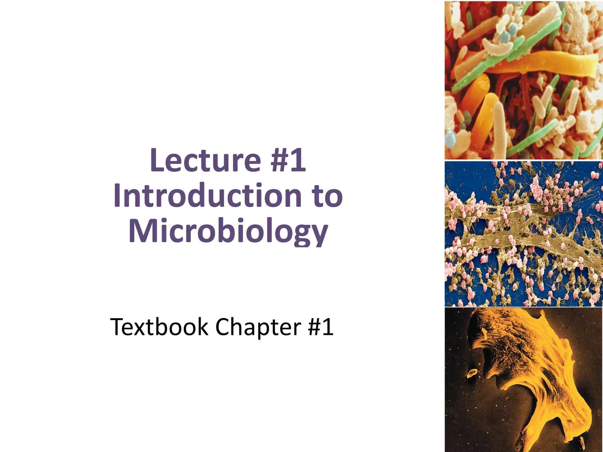 Lecture 1 Micro biology.pdf on Lecture #1 Introduction to Microbiology | PPT