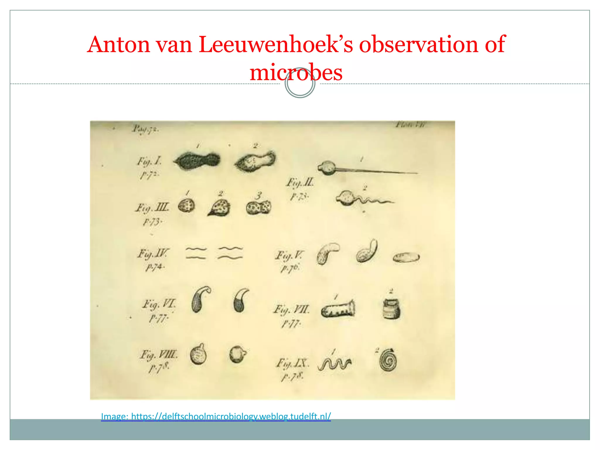 lecture 1 microbiology.pptx