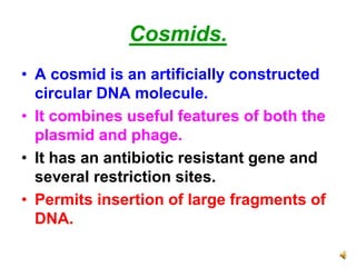 Lecture 1 molecular tech. RDT By Dr Vishnu Kumar Professor ...