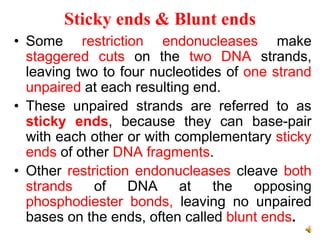 Lecture 1 molecular tech. RDT By Dr Vishnu Kumar Professor ...