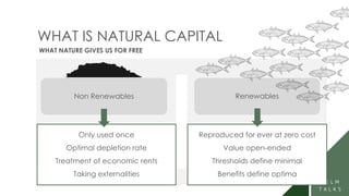Lecture 1 The Concept of Natural Capital | PDF