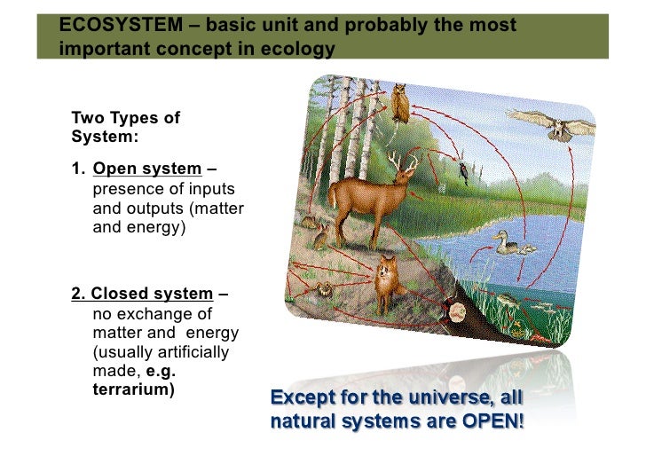 Lecture 1 Ns 5 Ecology And Ecosystem Concepts 2010