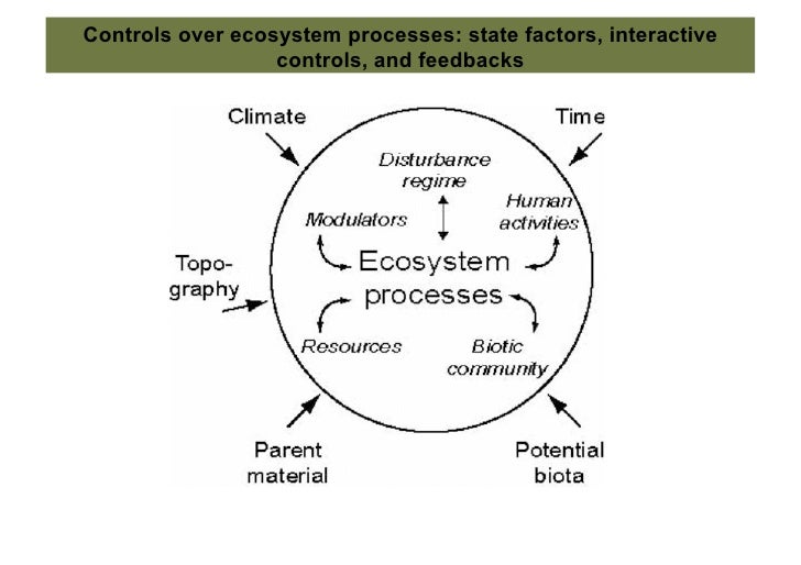 Lecture 1 Ns 5 Ecology And Ecosystem Concepts 2010