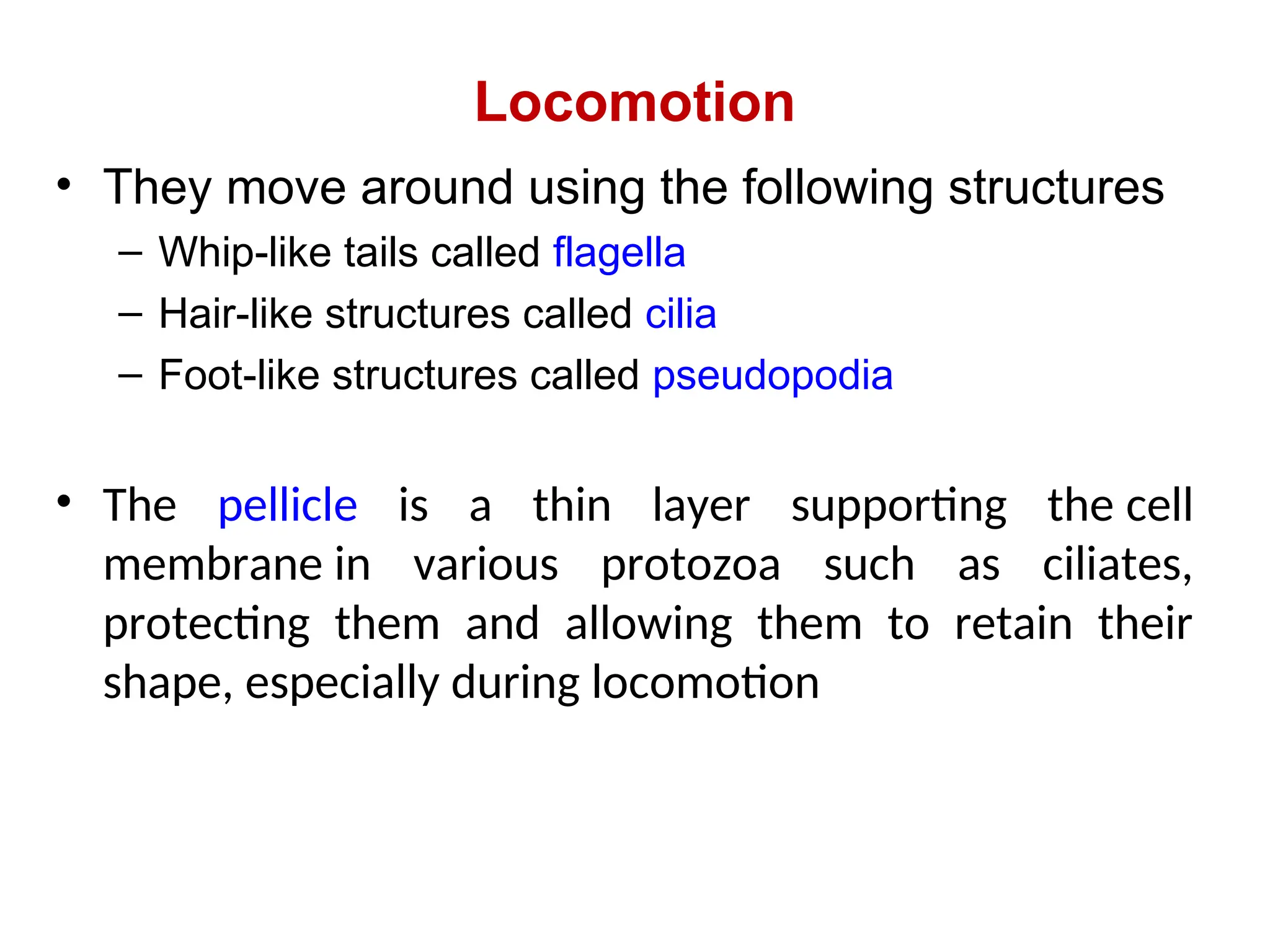 Introduction to Protozoology by Dr jawad | PPT