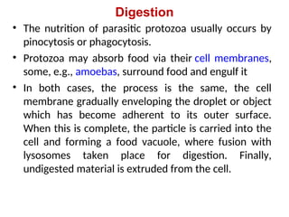Introduction to Protozoology by Dr jawad | PPT