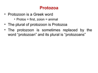 Introduction to Protozoology by Dr jawad | PPT