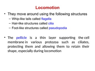 Introduction to Protozoology by Dr jawad | PPT