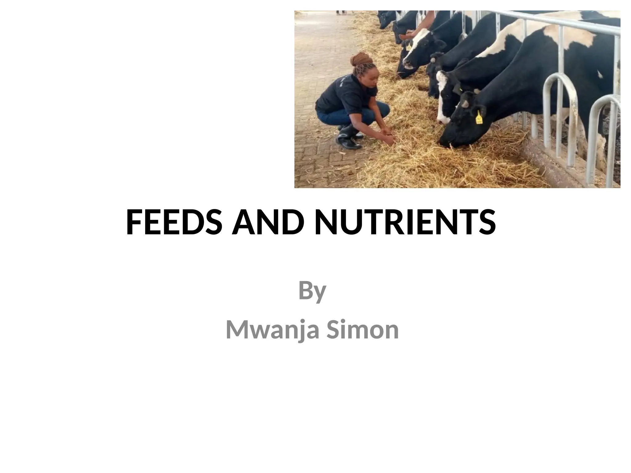 Nutrients required by livestock, feeds and their classification | PPT