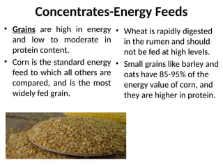 Nutrients required by livestock, feeds and their classification | PPTX