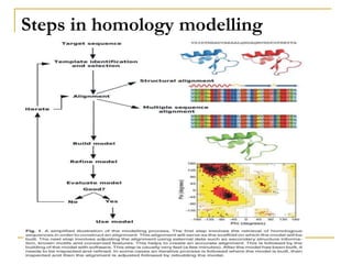 demonstration lecture on Homology modeling | PPT