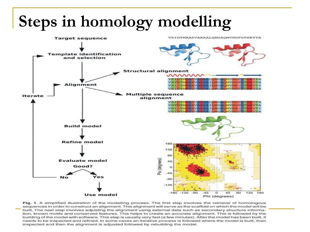 demonstration lecture on Homology modeling