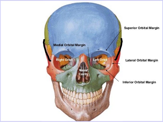 Lecture 1 orbit dr. noura