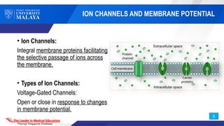 LECTURE 1 OVERVIEW OF CELL MEMBRANE PERMEABILITY AND CARDIAC CONDUCTION ...