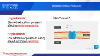 LECTURE 1 OVERVIEW OF CELL MEMBRANE PERMEABILITY AND CARDIAC CONDUCTION ...