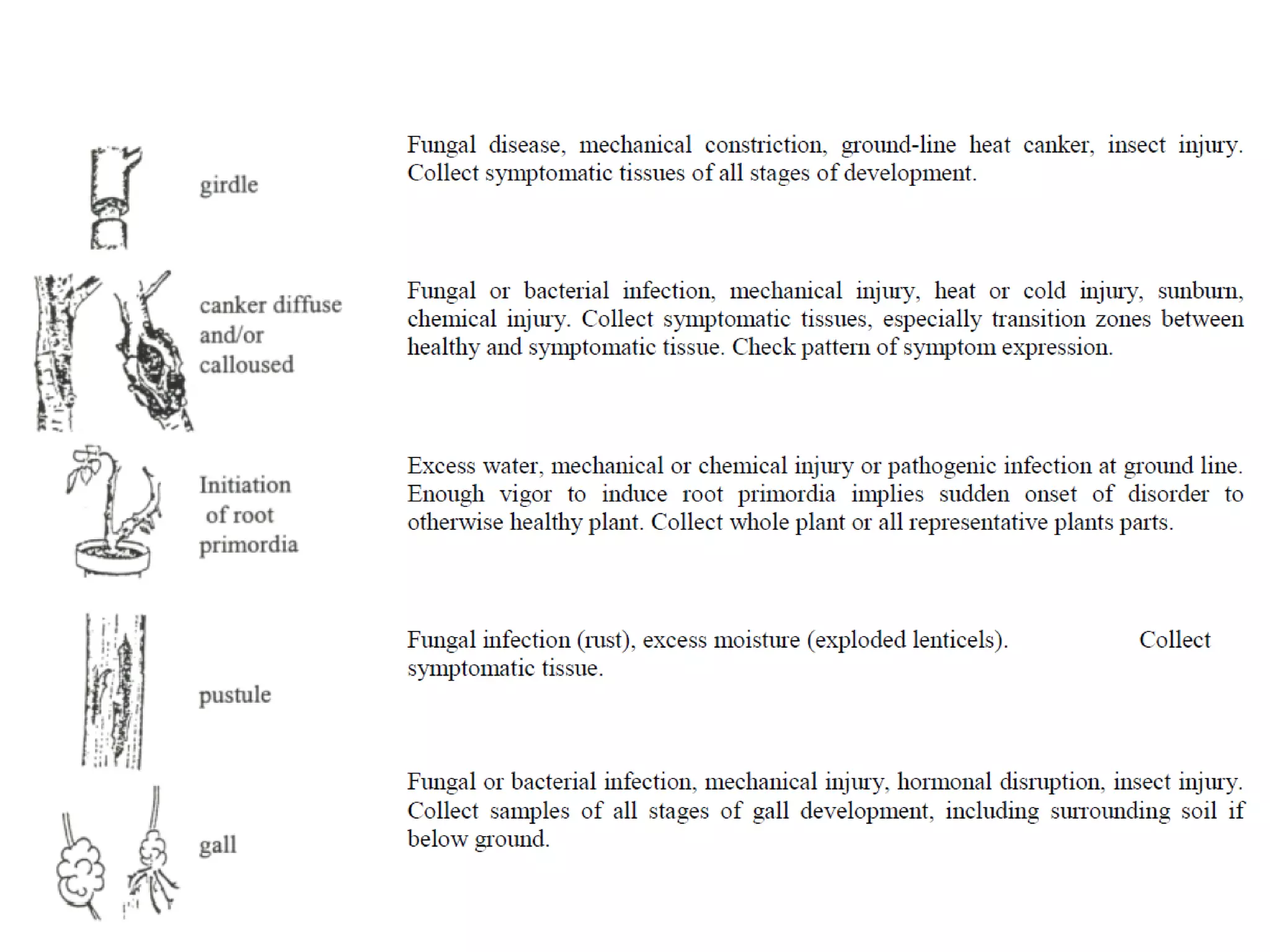 overview of plant pathogenesis | PDF