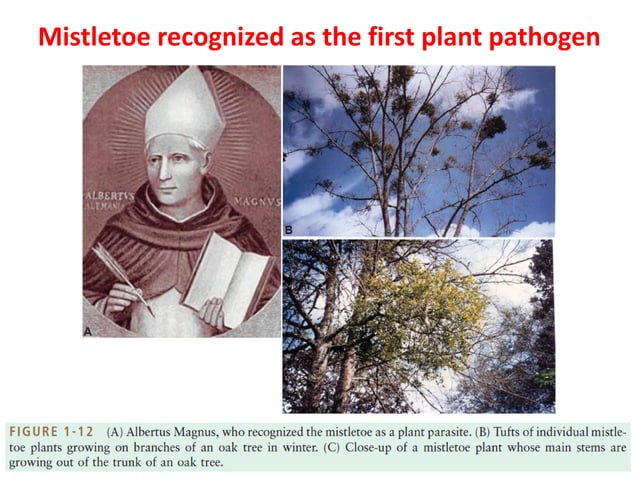 overview of plant pathogenesis | PPT