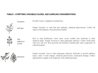 overview of plant pathogenesis | PDF