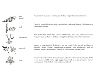 overview of plant pathogenesis | PDF