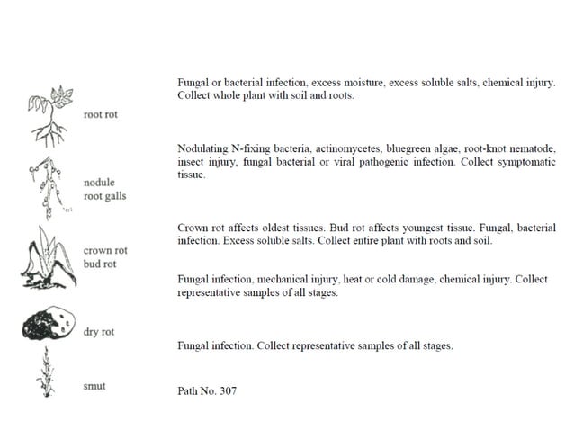 overview of plant pathogenesis | PPT
