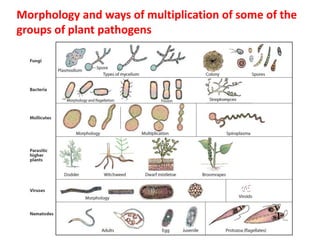 overview of plant pathogenesis | PDF
