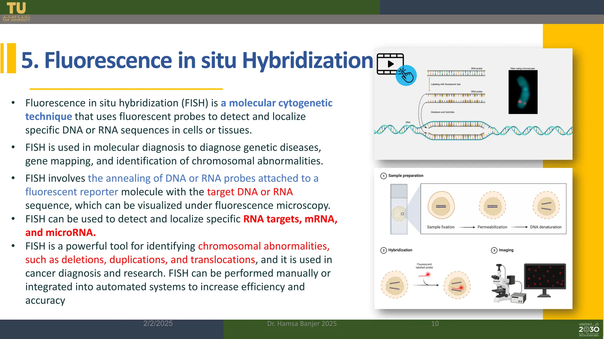 Oooooooooooooooooooooooooooooooooooooooo | PDF