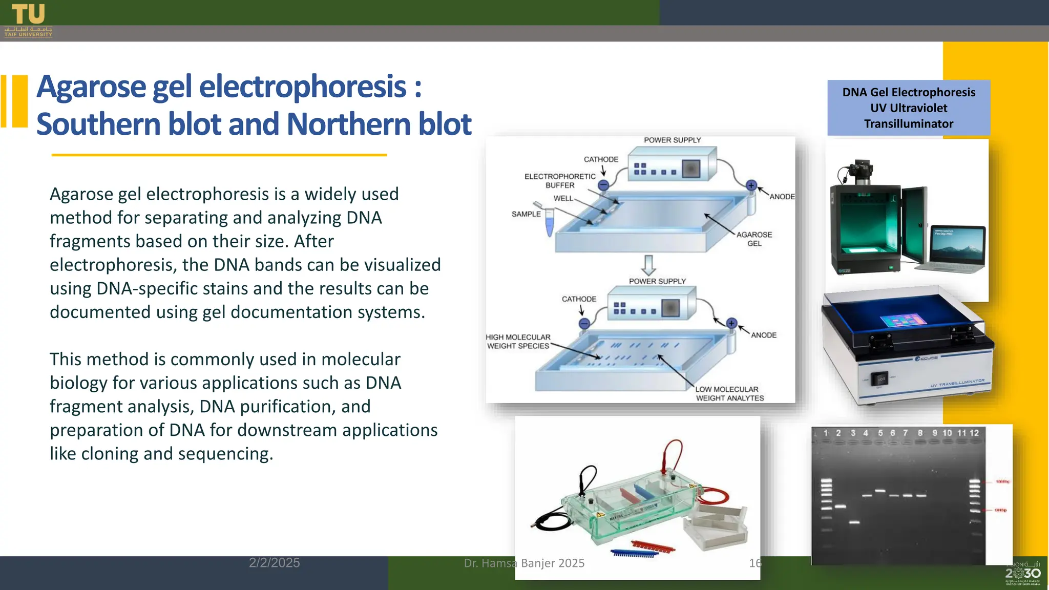 Oooooooooooooooooooooooooooooooooooooooo | PPT