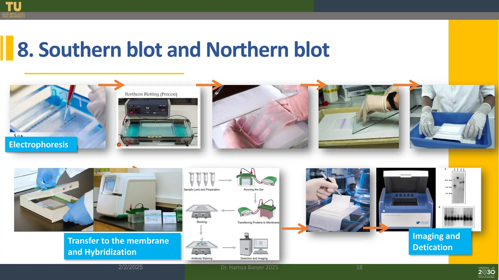 Oooooooooooooooooooooooooooooooooooooooo | PPT