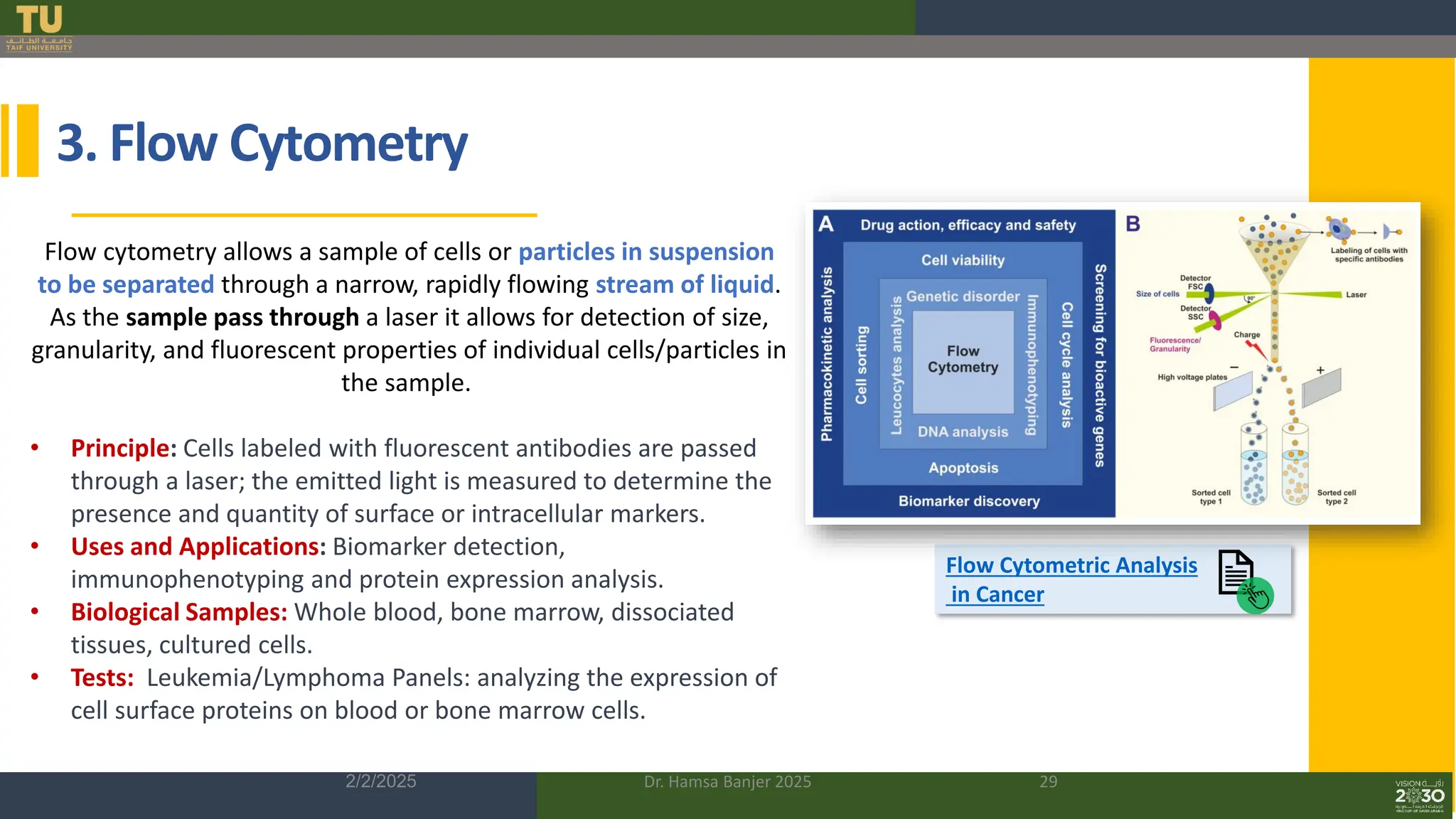 Oooooooooooooooooooooooooooooooooooooooo | PDF