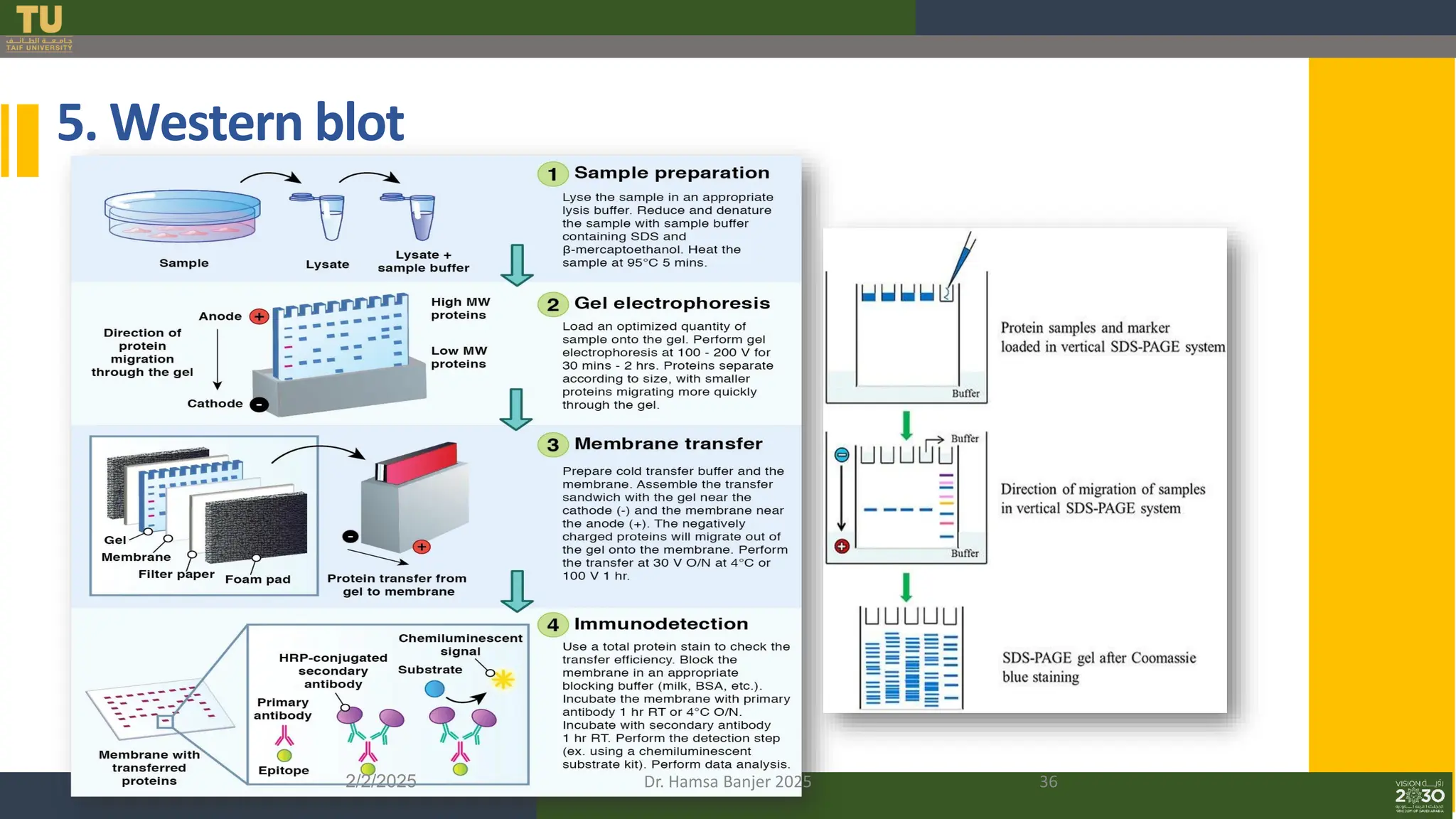 Oooooooooooooooooooooooooooooooooooooooo Pdf 3284