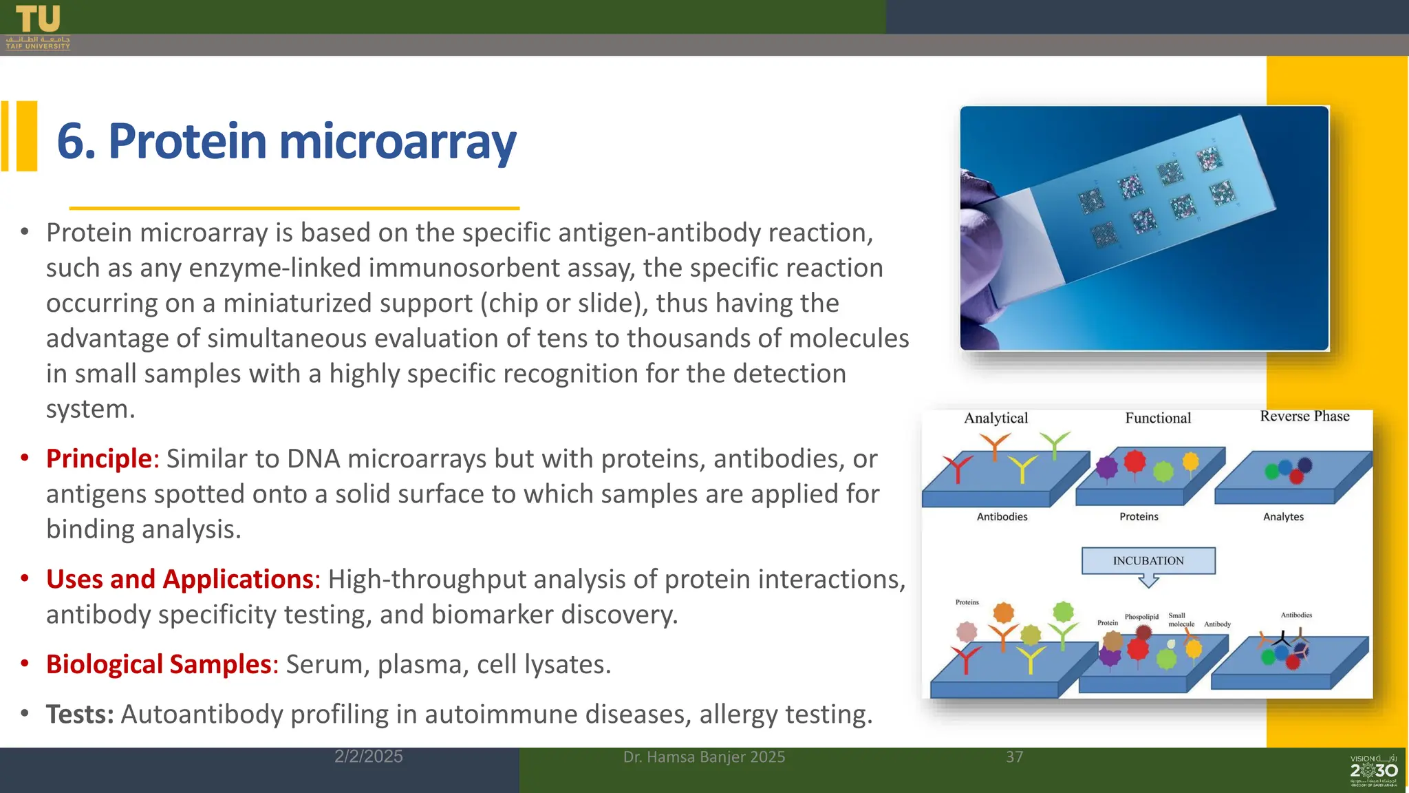 Oooooooooooooooooooooooooooooooooooooooo | PPT