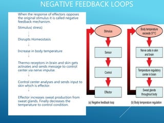 lecture1pathophysiology-210424064422.pdf