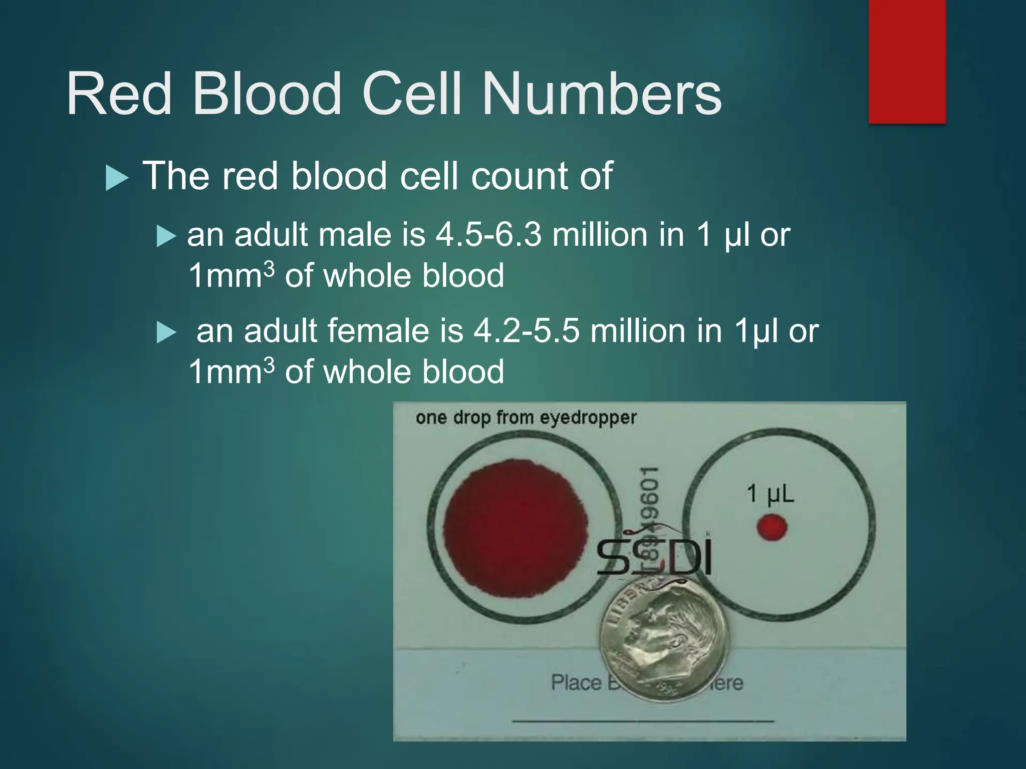 LECTURE 1 Plasma and Blood cells- Biology Lecture | PPT