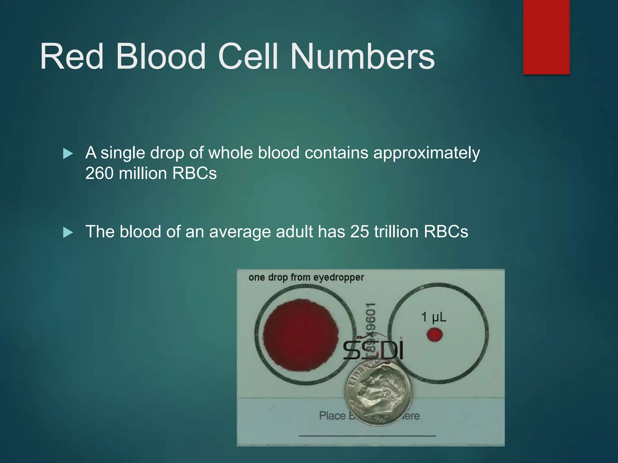 LECTURE 1 Plasma and Blood cells- Biology Lecture | PPT