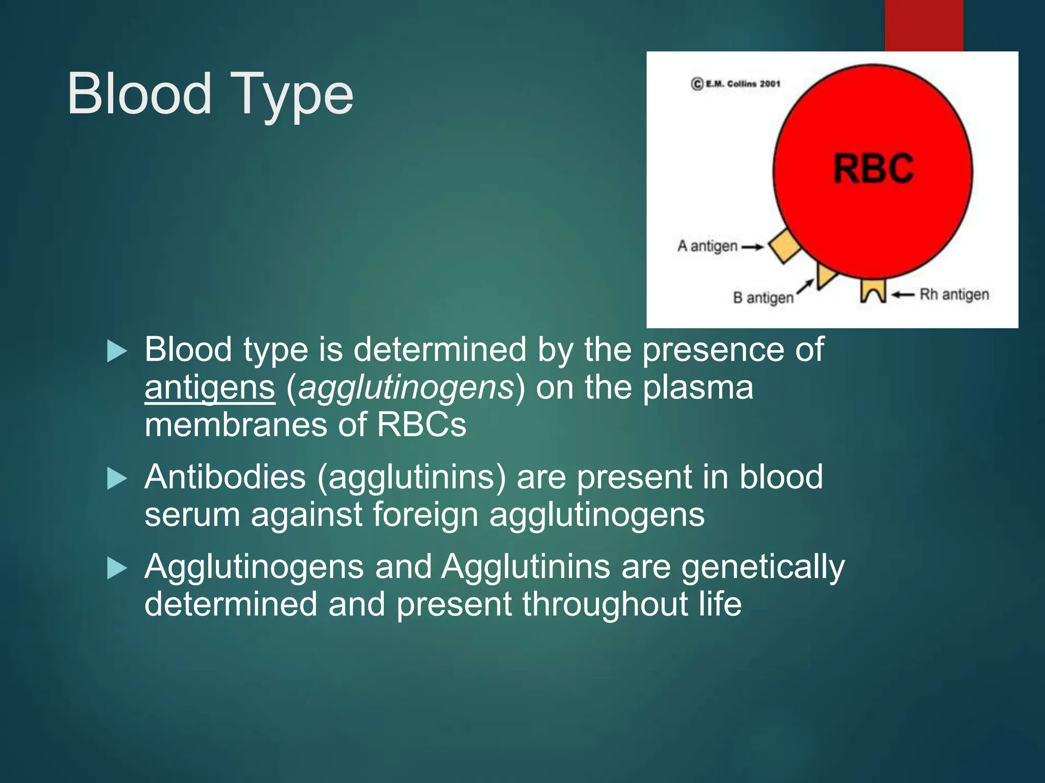 LECTURE 1 Plasma and Blood cells- Biology Lecture | PPT