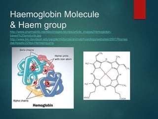 LECTURE 1 Plasma and Blood cells- Biology Lecture | PPT