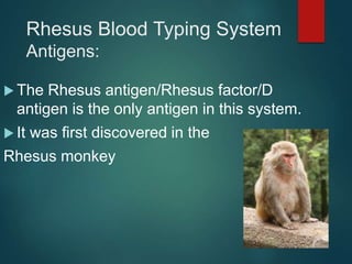 LECTURE 1 Plasma and Blood cells- Biology Lecture | PPT