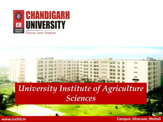 lecture 1 ppt(1) (1).ppt