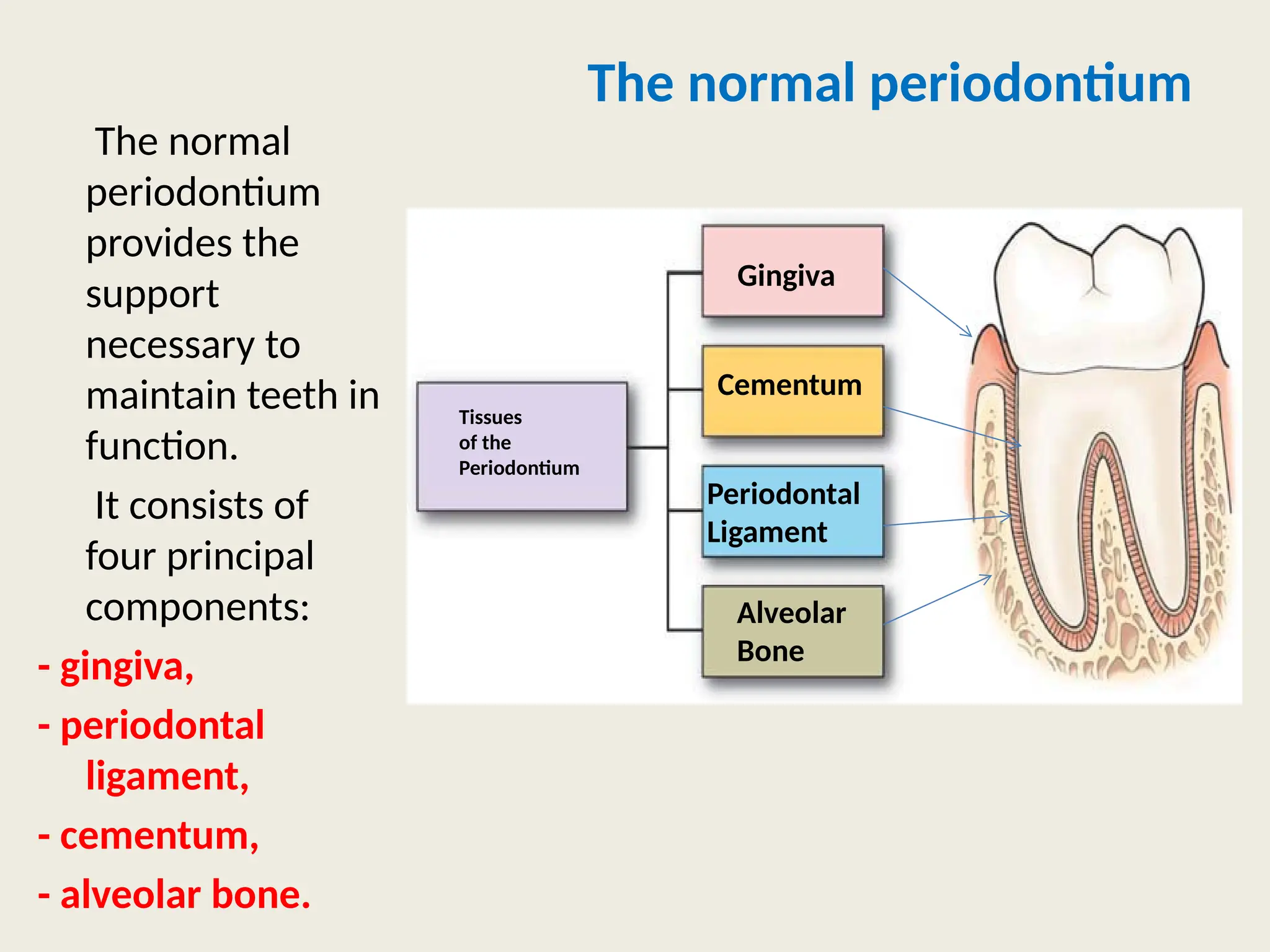 Lecture 1 (Pr) (1).pptx mandibular fractures | PPTX