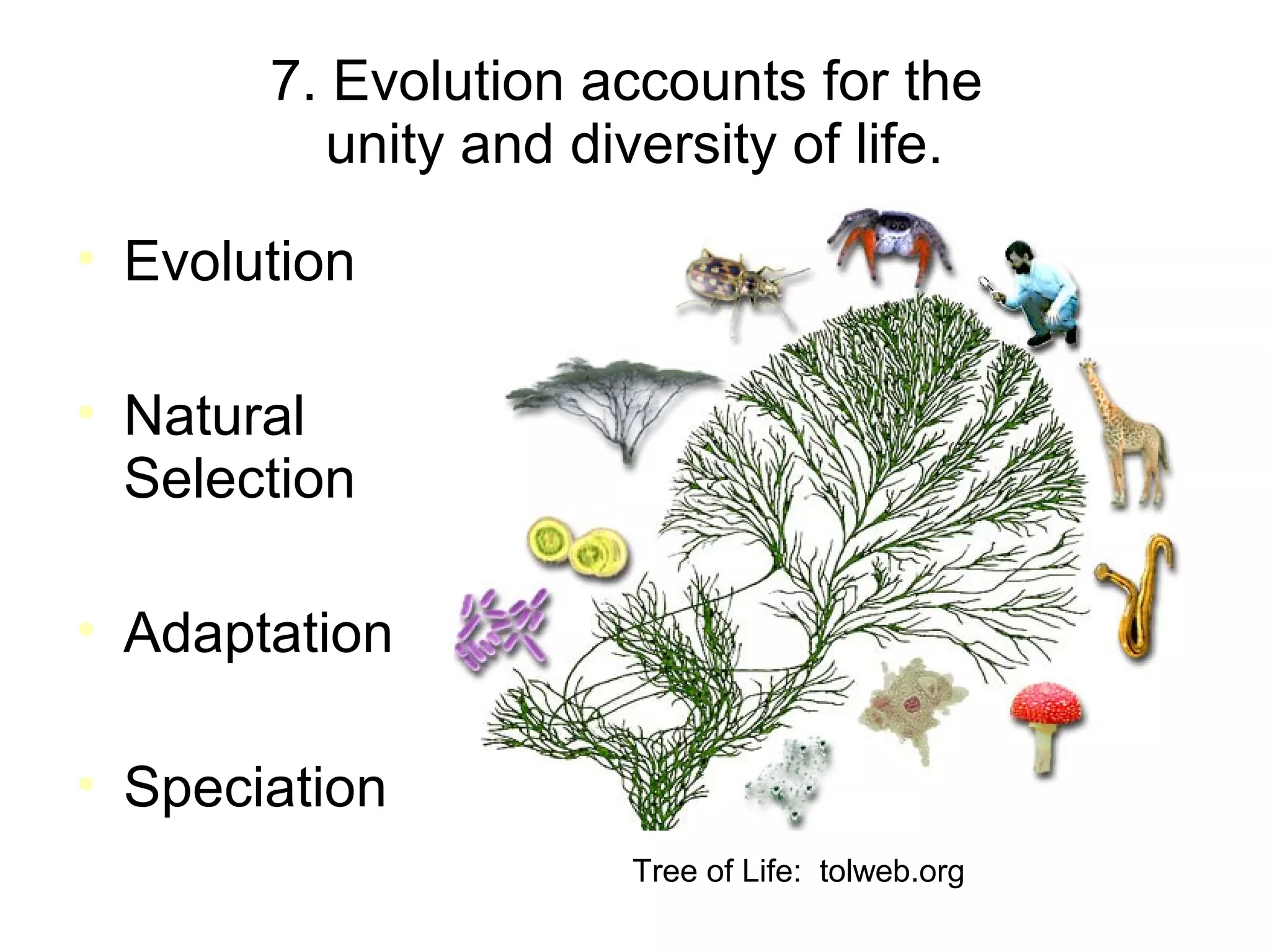 Lecture 1 properties of life spr13 handout | PPT