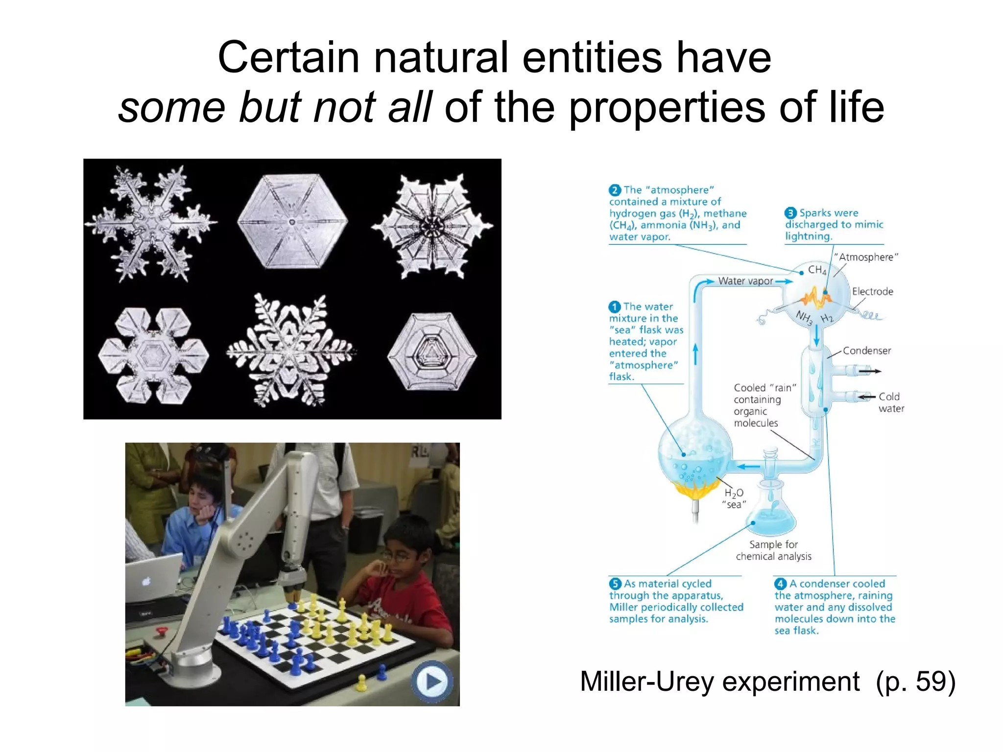 Lecture 1 properties of life spr13 handout | PPT