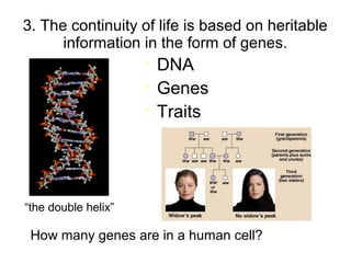 Lecture 1 properties of life spr13 handout | PPT