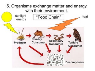 Lecture 1 properties of life spr13 handout | PPT