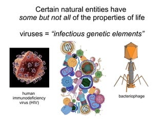 Lecture 1 properties of life spr13 handout | PPT