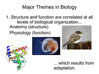 Lecture 1 properties of life spr13 handout | PPT
