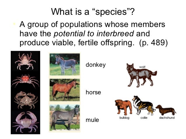 Lecture 1 properties of life spr13 handout