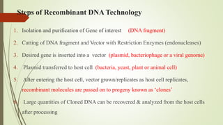 Recombinant DNA.pptx