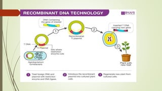 Recombinant DNA.pptx