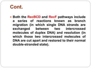 Lecture 1 Recombination_ Homologous Recombination (Final).pptx